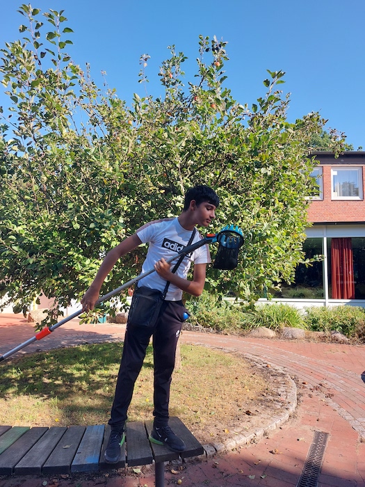 Klasse des Monats - Apfelbaumprojekt - Schule Marckmannstraße